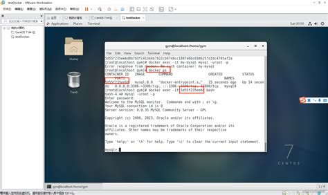 手把手从安装本地虚拟机，基于docker，部署springbootvue项目（若依框架前后端分离版本演示），基于openjdk的dockerfile51cto博客在虚拟机中安装docker