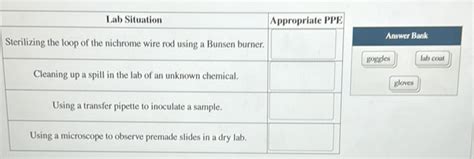 Lab Situation Appropriate Ppe Sterilizing The Loop Of The Nichrome Wire Rod Using A Bunsen