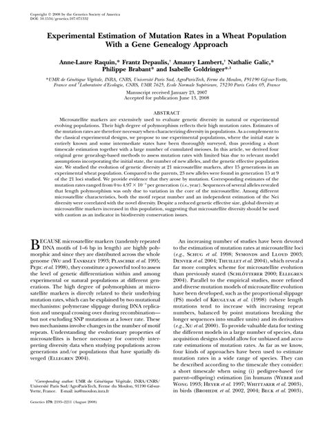 Pdf Experimental Estimation Of Mutation Rates In A Wheat Population With A Gene Genealogy Approach