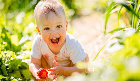 Як вивести плями від ягід 6 ефективних способів Читайте на Ukr Net