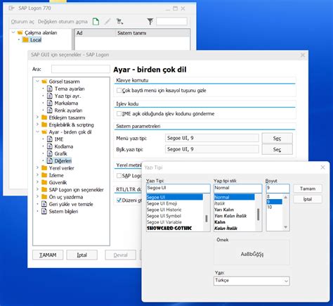 Solved Sap Gui 770 Turkish Language Problems Sap Community