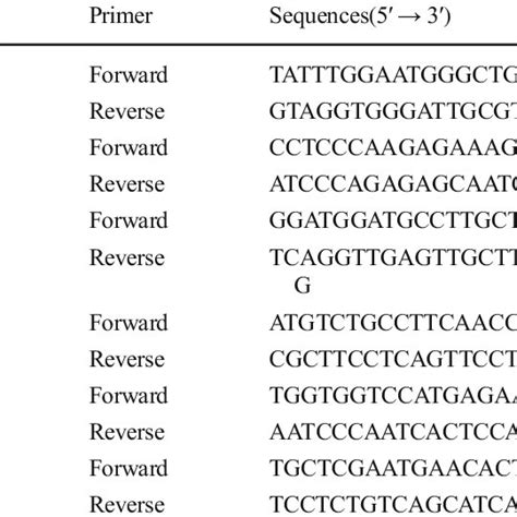 Primers Used To Quantify Mrna Expression Levels Download Scientific Diagram