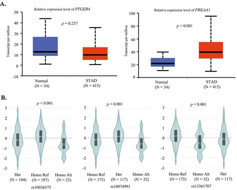 Association Between Snps And Ptger4 And Prkaa1 Expression A The Download Scientific Diagram