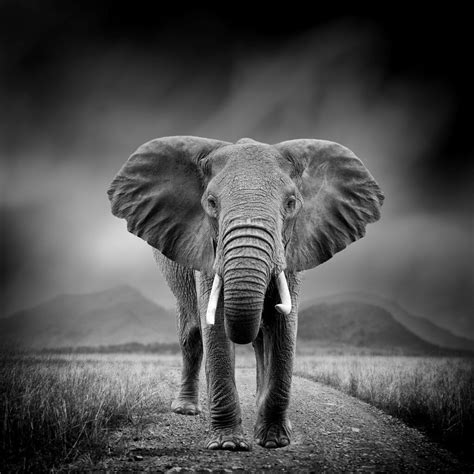 Understanding Queue Waits In Postgresql Causes And Solutions For