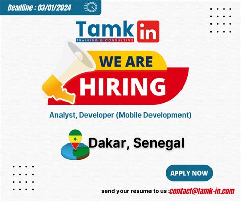 analyst developer mobile development tamk in training and consulting