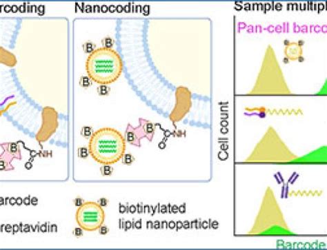 Split Seq Single Cell Profiling With Split Pool Barcoding Rna Seq Blog