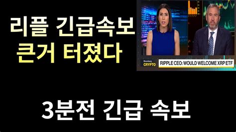 리플 3분전 뜬 긴급속보 축하 드립니다 리플 리플코인 리플코인전망 리플전망 Xrp 리플etf 리플실시간 Youtube