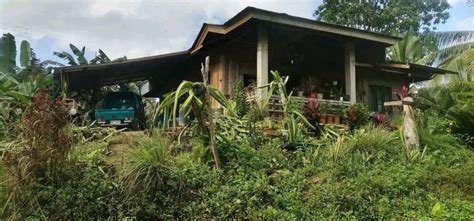 Farm Lot For Sale Sitio Lumboy Brgy Vive Ronda Cebu 2 Land Asia