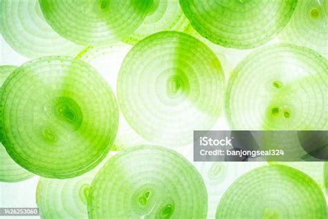 양파 매크로 다채로운 녹색과 노란색 부추 조각 양파 매크로 얇게 썬 핑크 양파 조각 무늬 매크로 텍스처 음식 배경 건강한