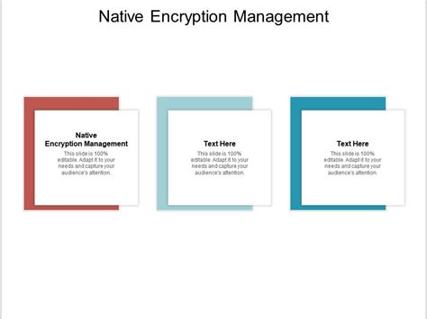 Native Encryption Management Ppt Powerpoint Presentation Slides Example Cpb Presentation