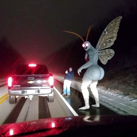 Mothman With A Huge Album On Imgur