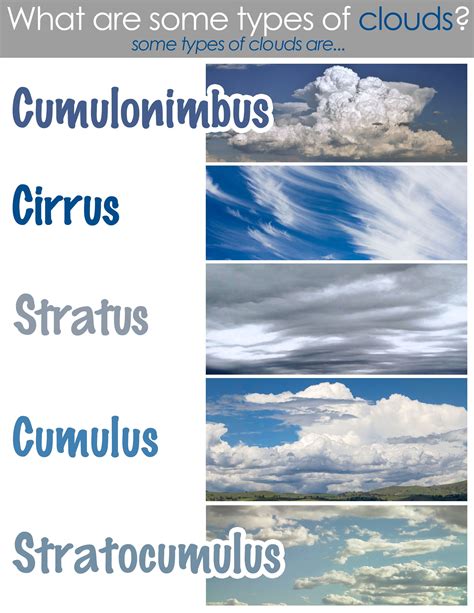 Types Of Clouds Worksheet Weather Science Clouds Earth And Space Science