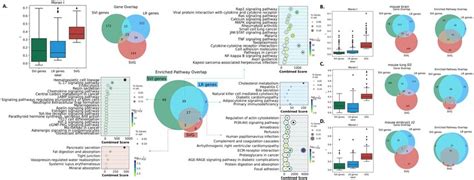 Relation Between Svis And Svgs Evaluated Across Four Datasets A