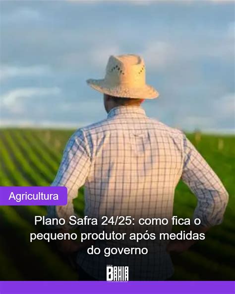🚜 Plano Safra 2425 O Que Muda Para O Pequeno Produtor Portal Bahia