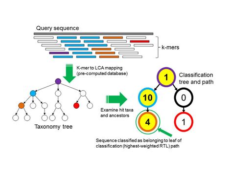 A Post About K Mers This Time For Taxonomy
