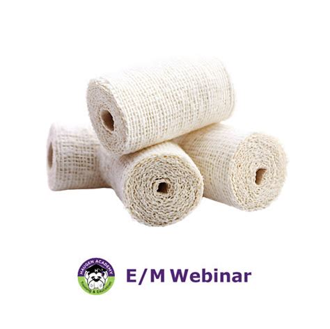 Ed Essentials Coding Integumentary Procedures Performed In The Emergency Department