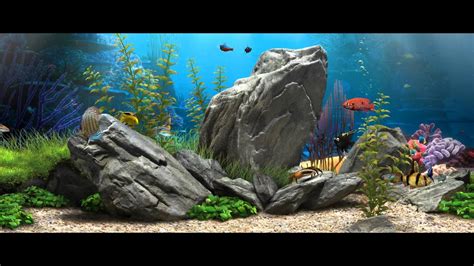 Live Aquarium Wallpaper