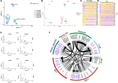 A Umap Plot Of The Distribution Of Immune Cells In Different Samples
