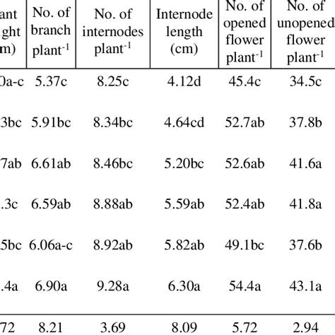 Effect Of Plant Spacing On Growth And Flower Attributes Of Gypsophila