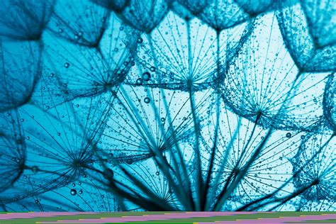 Talking Cloudiq Poweredge Dell Technologies Info Hub