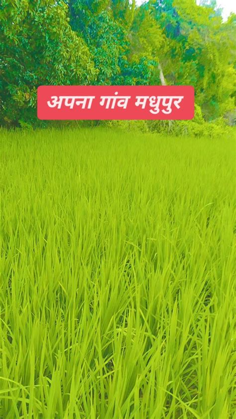 Instagram Video By Atul Patel • May 3 2025 At 11 03 Am