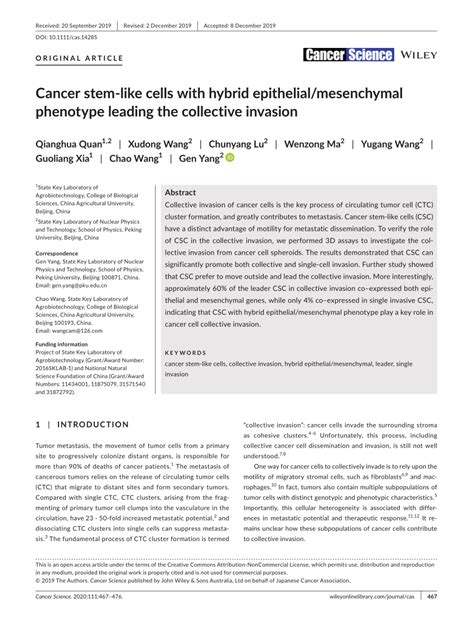 Pdf Cancer Stem‐like Cells With Hybrid Epithelial Mesenchymal