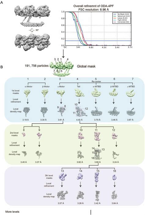 Flow Chart Of The Oad Structure Determination The 3d Classification Download Scientific