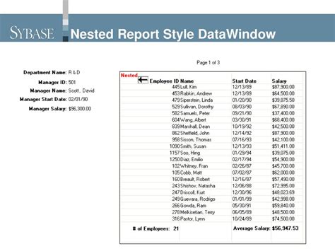 Ppt Sybase Datawindow Net Powerpoint Presentation Free Download