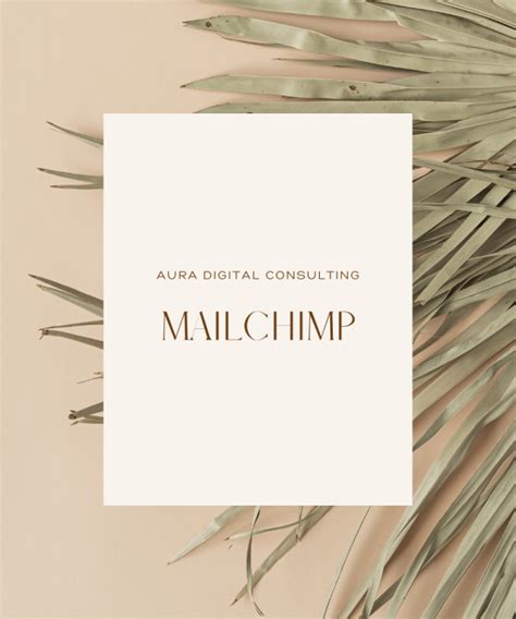 Learn The Mailchimp Basics Mini Course Aura Digital Consulting
