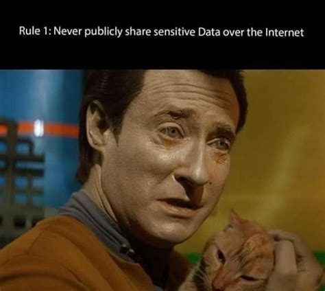 rule 1 never publicly share sensitive data over the internet😂 yariv levi