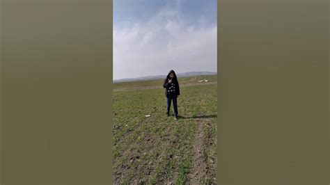 მინდორი Youtube