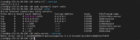 Install Redis On Amazon Linux 2 Official