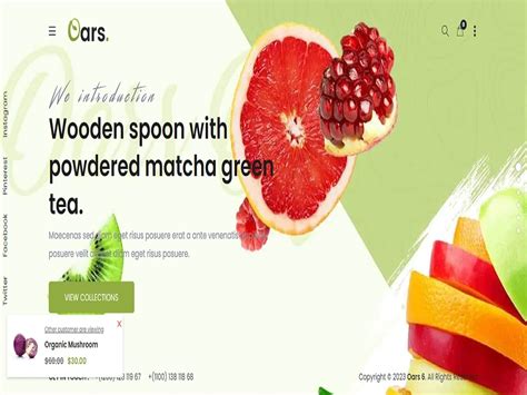 Responsive Wordpress Web Expert Using Elementor Pro Landing Page Designer Upwork