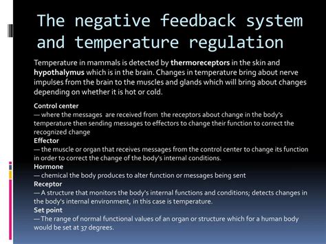 PPT Temperature And Homeostasis PowerPoint Presentation Free Download ID 2482343