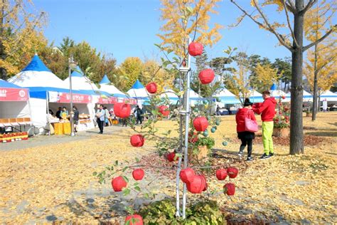 홍천사과축제 최신 축제 공연 행사 정보와 주변 관광 명소 및 근처 맛집 여행 정보