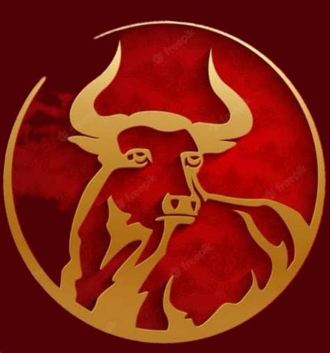 Toro Clavel Mirador De Nercón