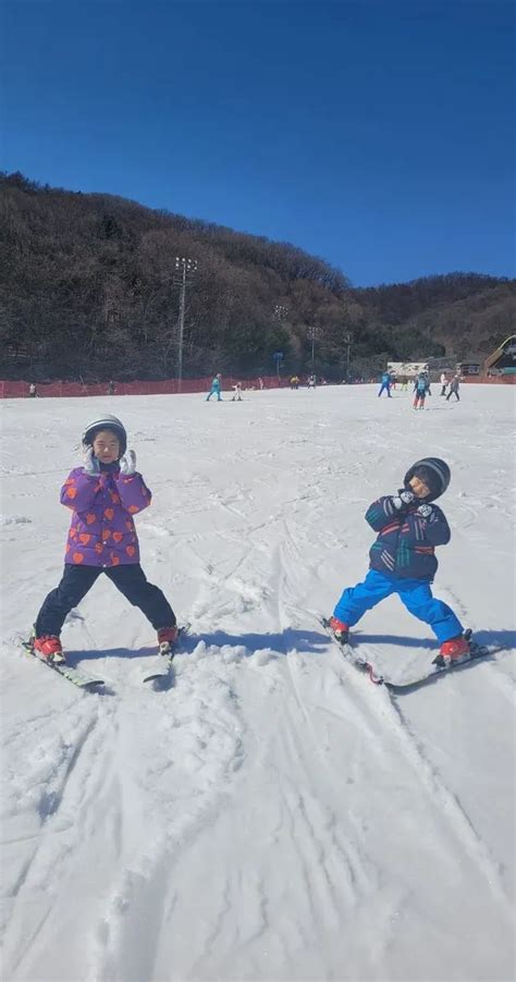 유아 스키강습 대한스키강습 숨고 숨은고수