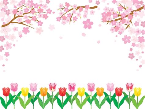 튤립 꽃 벡터 일러스트와 함께 봄 벚꽃 배경 프리미엄 벡터