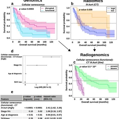 Statsum Captures Information Of Metabolic Tumor Volume Mtv And Download Scientific Diagram