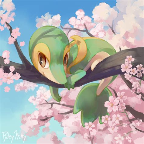Snivy Chills In The Cherry Blossoms~ My Favorite Grass Starter