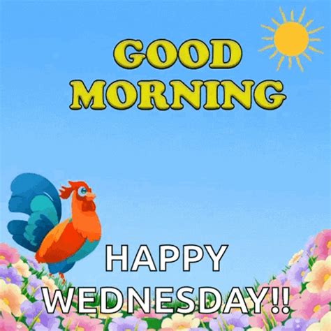 Wednesday Morning Fall 