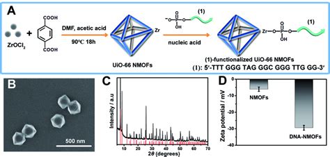 A Synthesis Of The Nucleic Acid 1 Functionalized Uio 66 Nmofs B Download Scientific