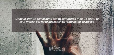 Peste 450 Mesaje De Dragoste Declaratii Romantice Cu Poze Si Imagini Foxi