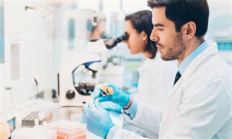 loop mediated isothermal amplification lamp assays