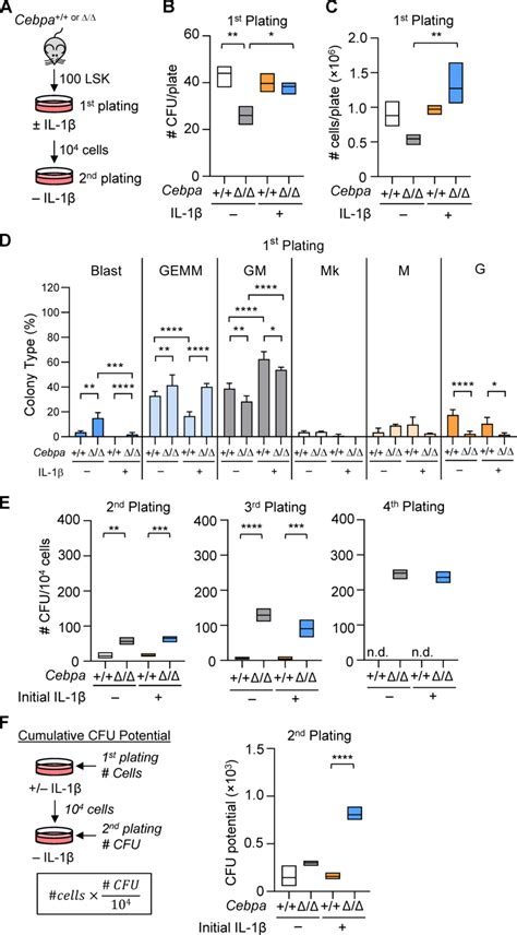 hspc specific cebpa knockout enhances mpp activity a experimental