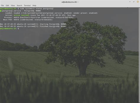 How To Install PostgreSQL On Ubuntu LTS Focal Fossa R T Bl Com