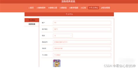 基于SpringBoot宠物领养系统的设计与实现 代码 数据库 文档 CSDN博客