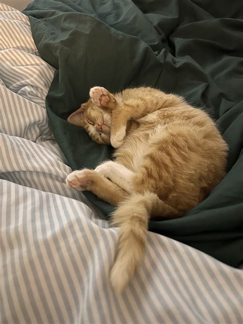 미래 유망 직업 10선 지금부터 준비하면 유리한 직업들