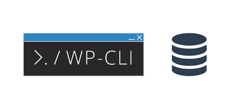 Find Slow Wordpress Or Woocommerce Database Queries With Wp Cli