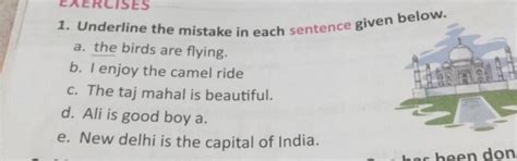 Underline The Mistake In Each Sentence Given Below Filo